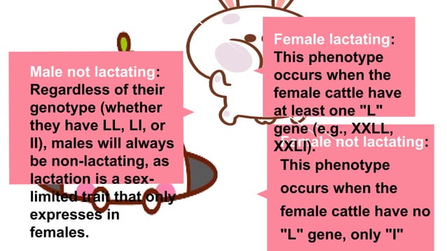 Sex-Limited Traits: Genes That Express in One Gender PPT.pptx ...