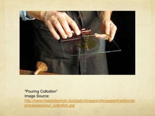 Stephanie cady midterm | PPT