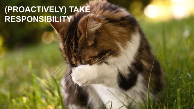 Stephanie Peterson SXSW 2016 PanelPicker | PPT