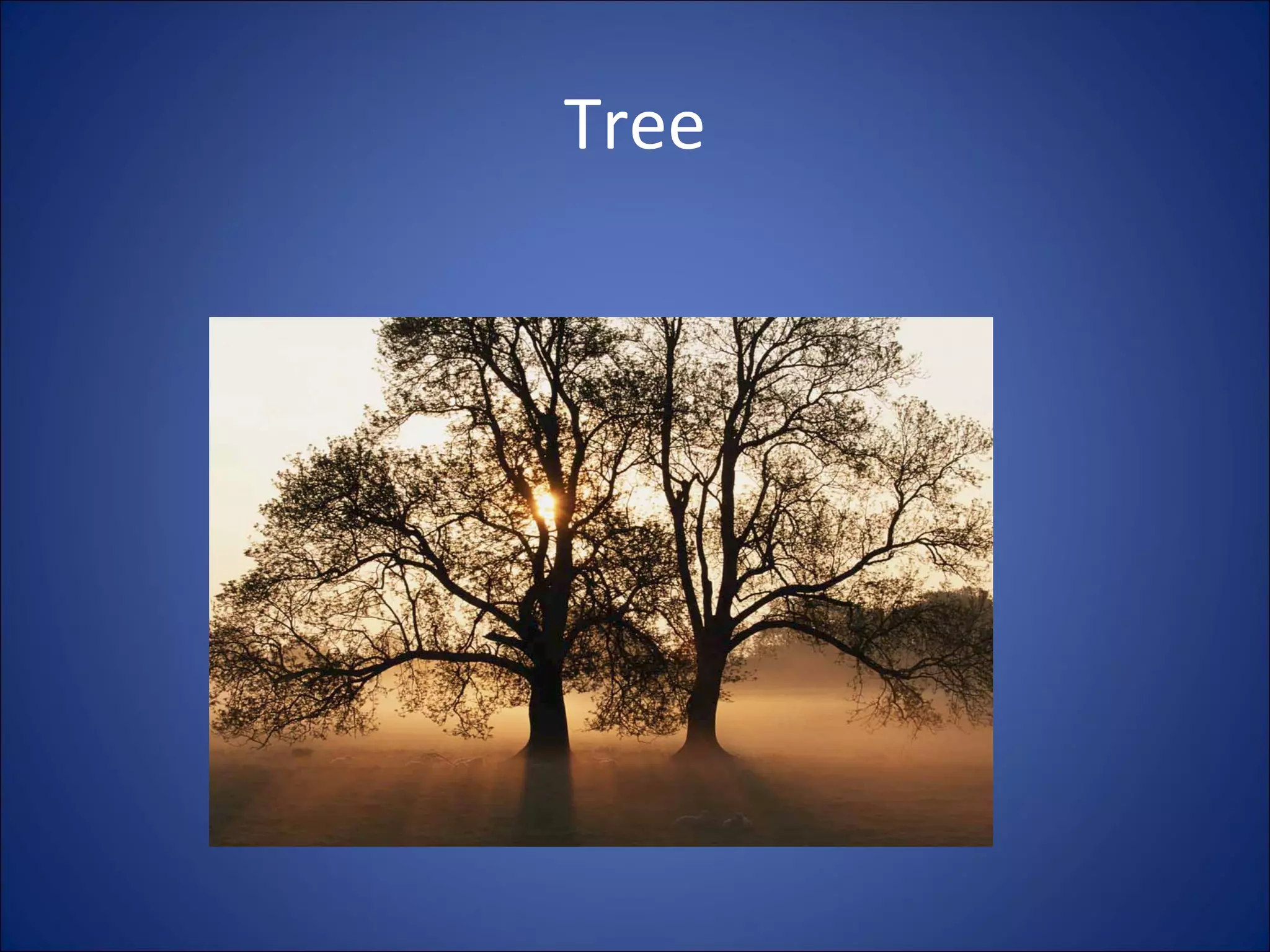 Stephen Sanders | PPT