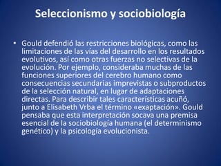 Stephen Jay Gould por Jorden | PPT