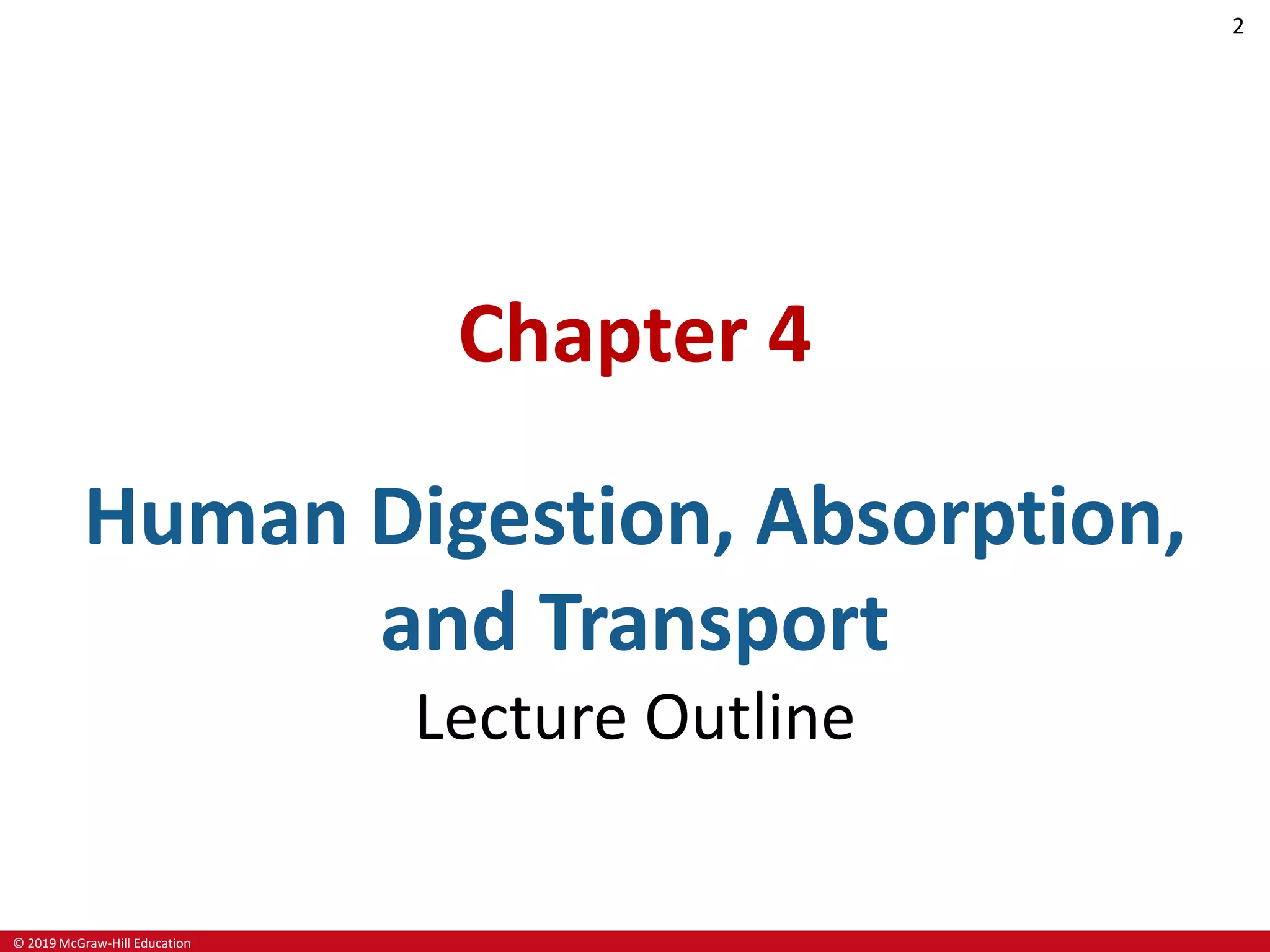 Stephenson 2ed_ch04_lecture_PPT.pptx
