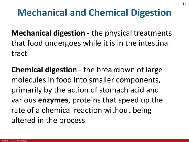 Stephenson 2ed_ch04_lecture_PPT.pptx