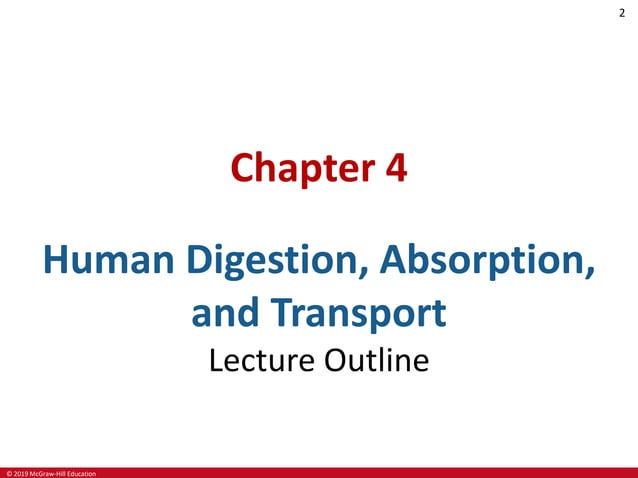 Stephenson 2ed_ch04_lecture_PPT.pptx