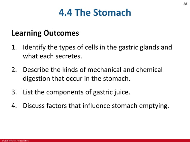 Stephenson 2ed_ch04_lecture_PPT.pptx