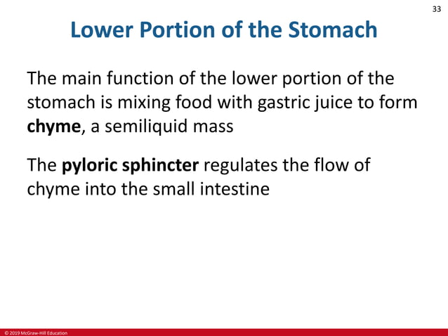 Stephenson 2ed_ch04_lecture_PPT.pptx