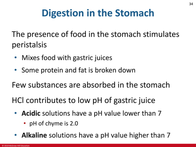 Stephenson 2ed_ch04_lecture_PPT.pptx