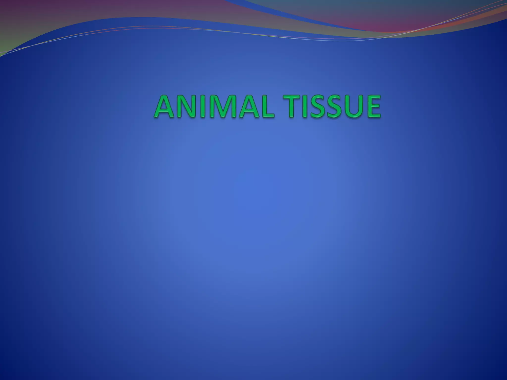 ANIMAL TISSUES | PPTX