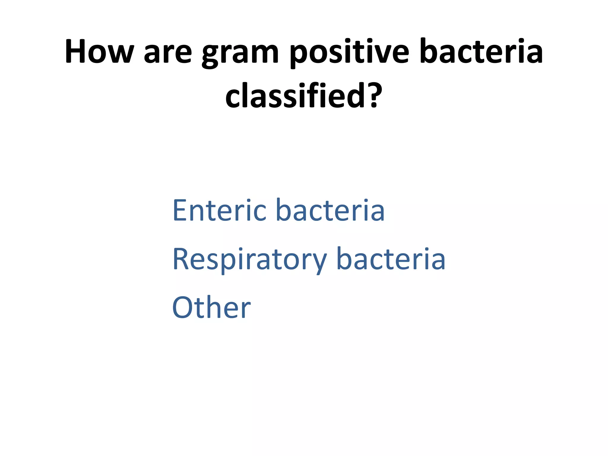 Gram Negative Bacteria | PPTX