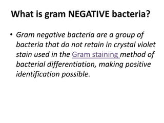 Gram Negative Bacteria | PPTX | Infectious Diseases | Diseases and ...