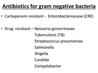 Gram Negative Bacteria | PPTX | Infectious Diseases | Diseases and ...