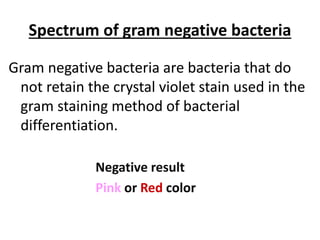 Gram Negative Bacteria | PPTX | Infectious Diseases | Diseases and ...