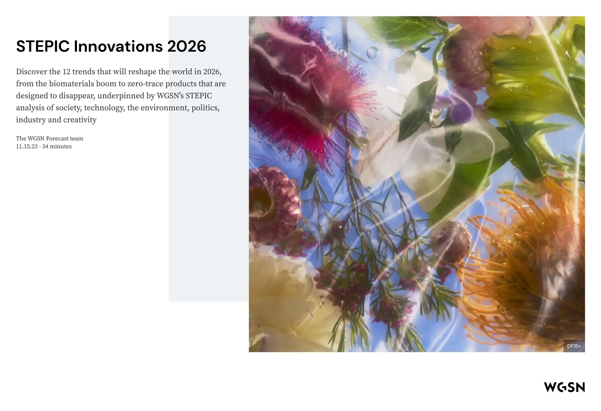 STEPIC Innovations 2026 futurism publications | PDF