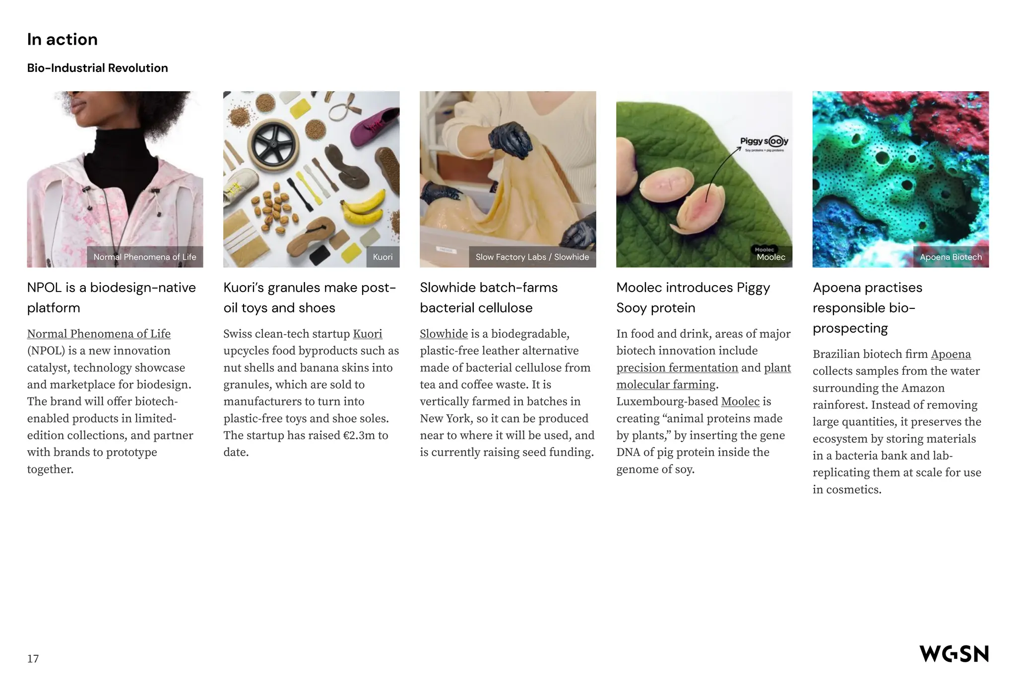 STEPIC Innovations 2026 futurism publications | PDF