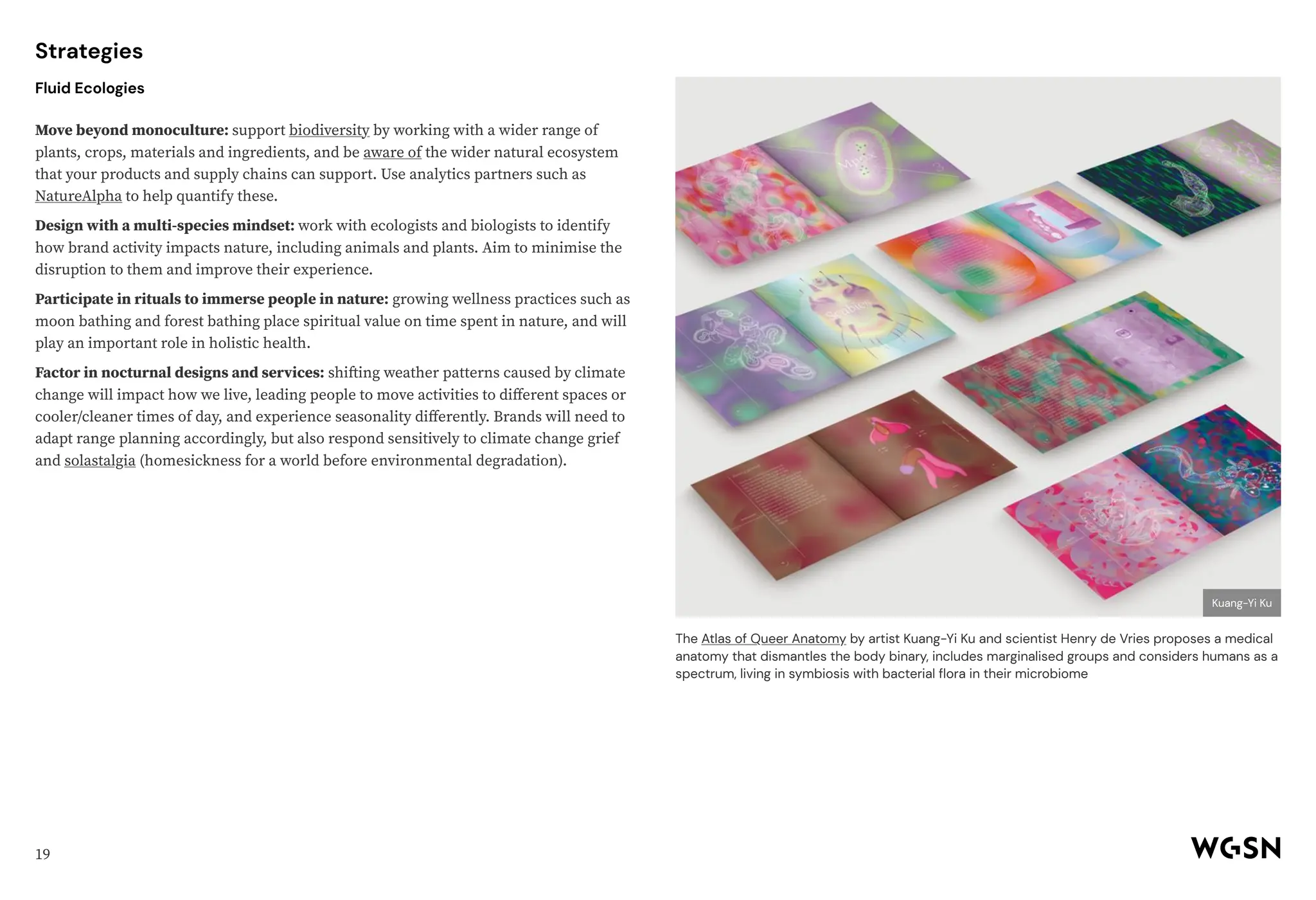 STEPIC Innovations 2026 futurism publications | PDF