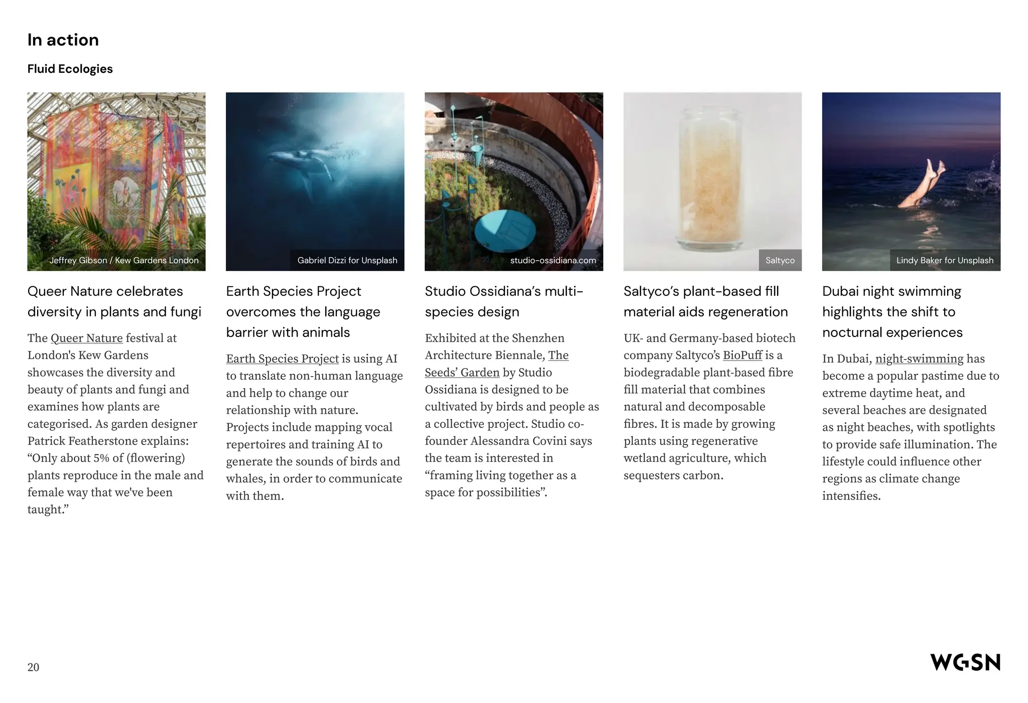 STEPIC Innovations 2026 futurism publications | PDF