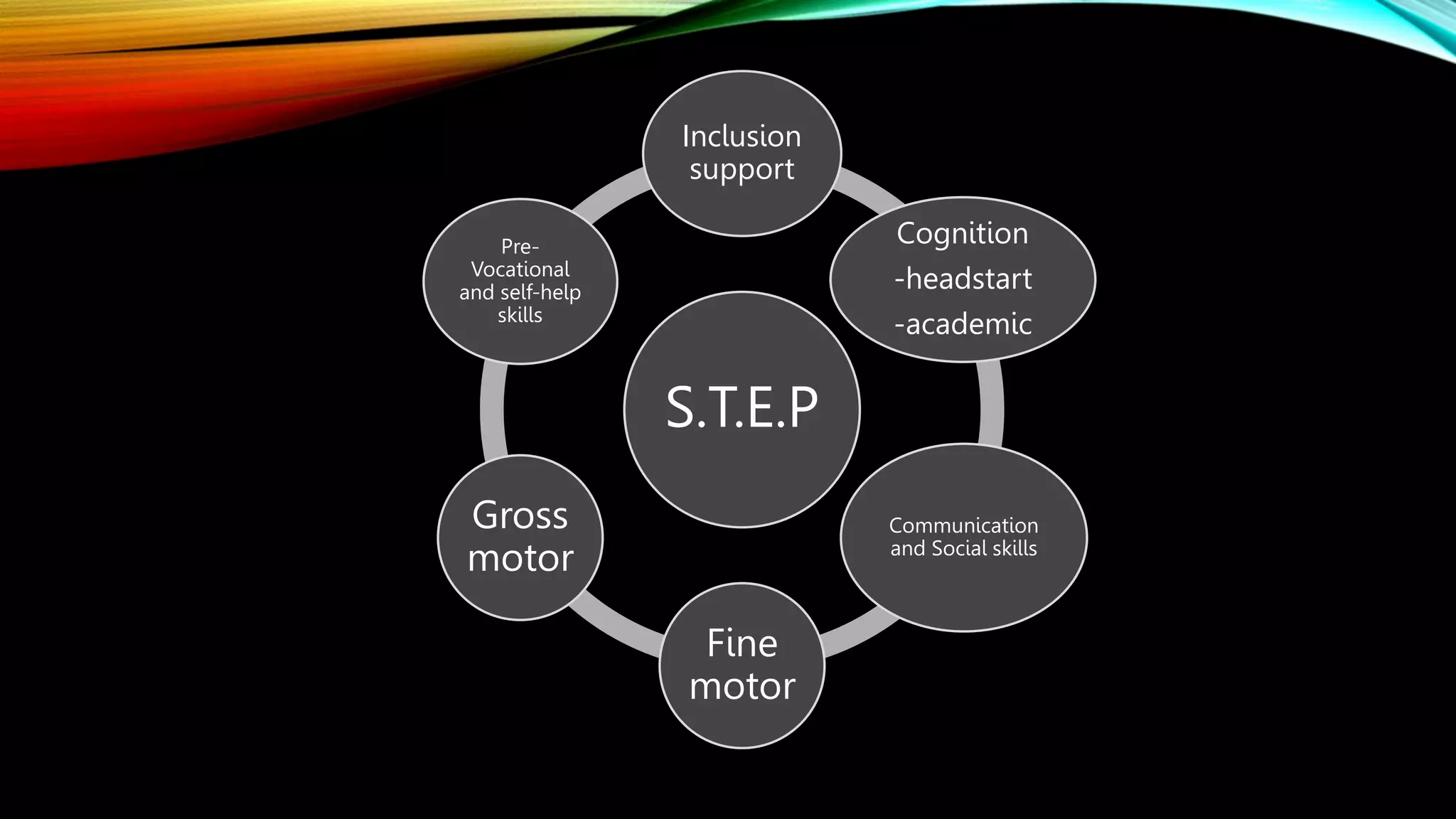 step internship.pptx