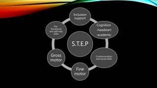 step internship.pptx