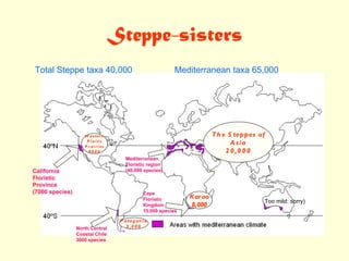 Steppe | PPT