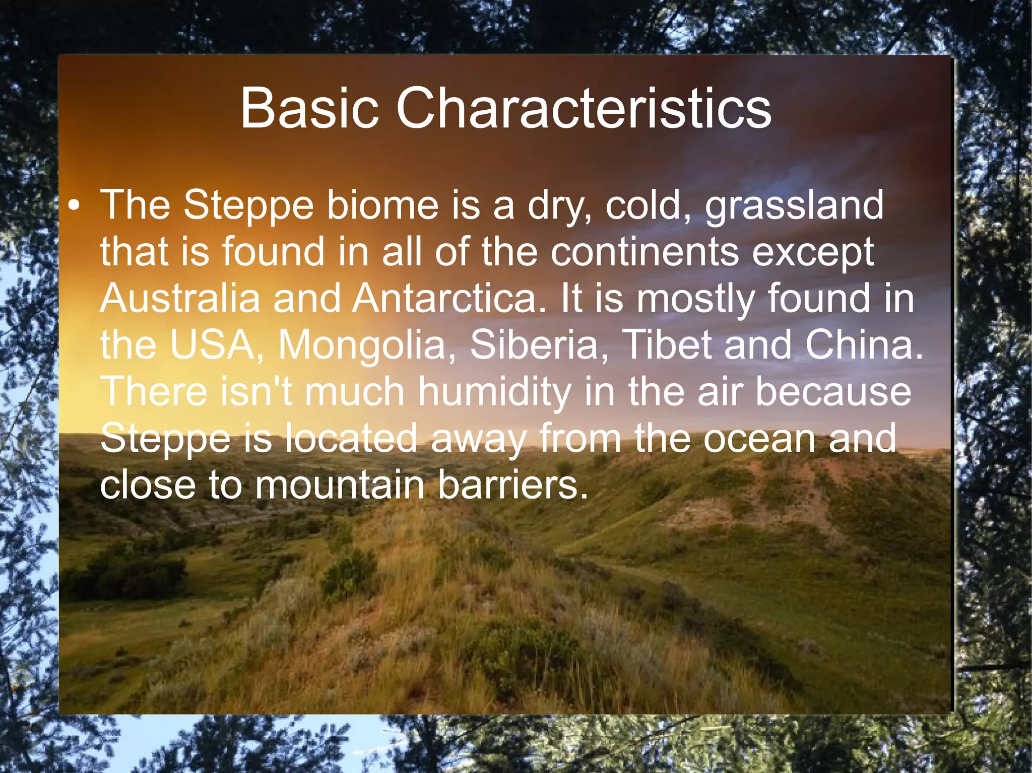 Steppe Biome | PDF