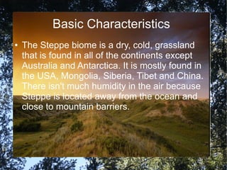 Steppe Biome | PDF