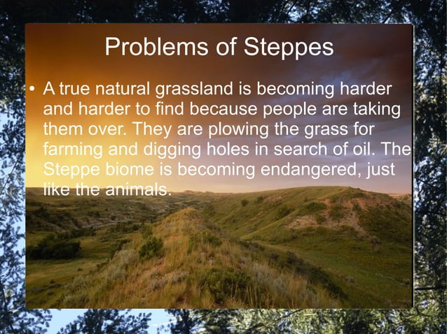 Steppe Biome | PDF | Weather | Science