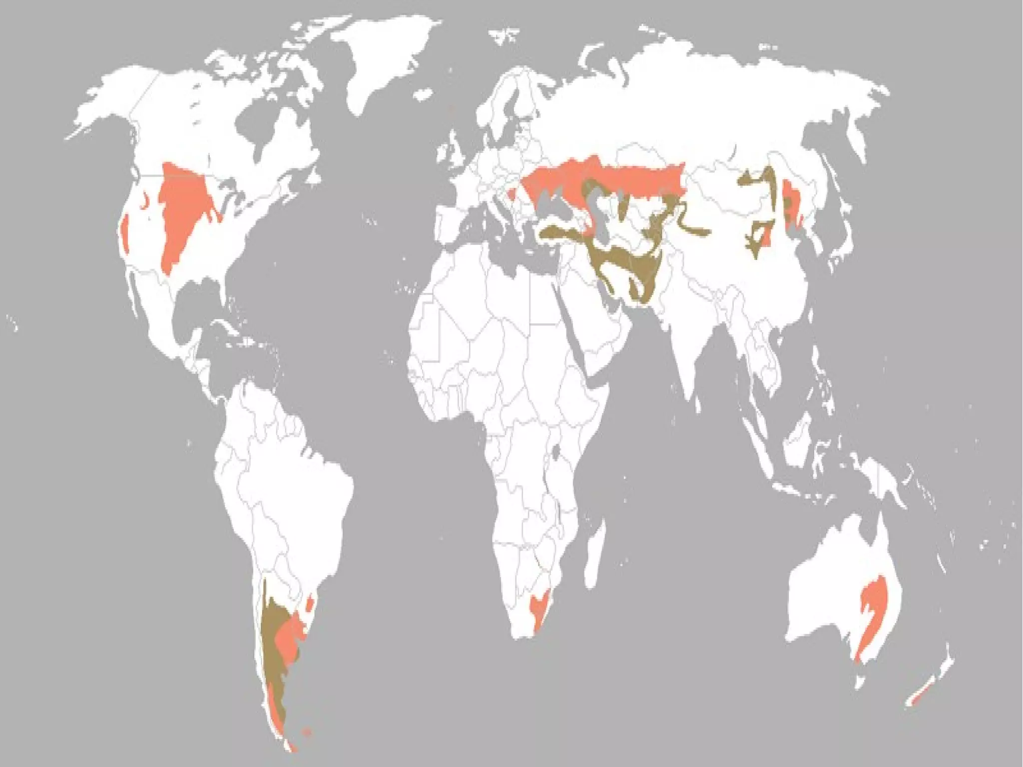 Steppe Biome | PPT