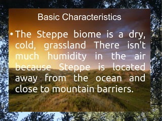 Steppe Biome | PDF