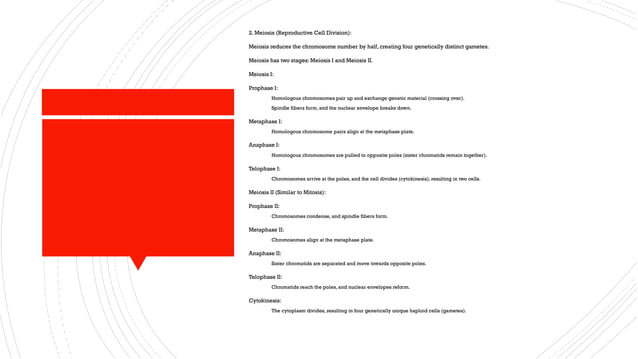 steps cell division scientific learning CELLS | PPT