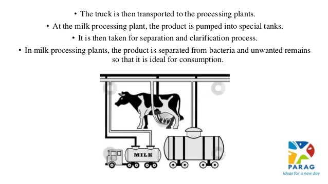 Steps followed by dairy companies in india - Parag Milk Foods