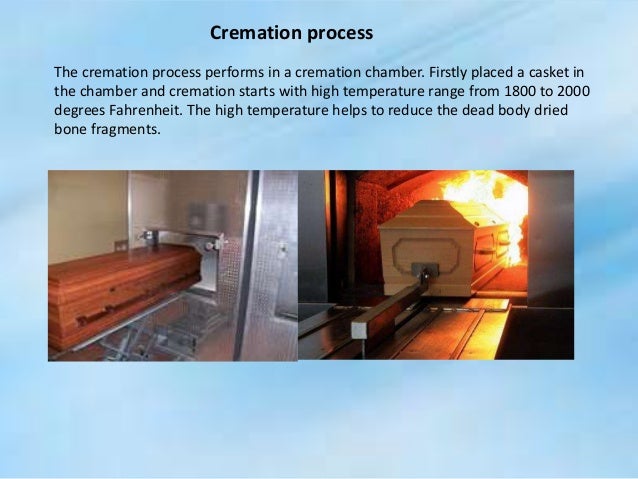 Steps for cremation process in florida