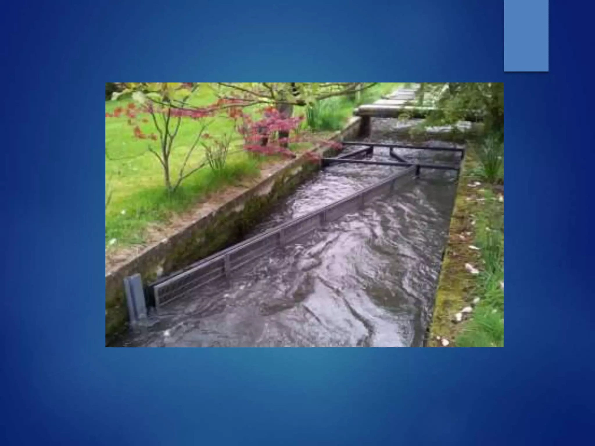 Steps in Pond Preparation (traditional) | PPTX