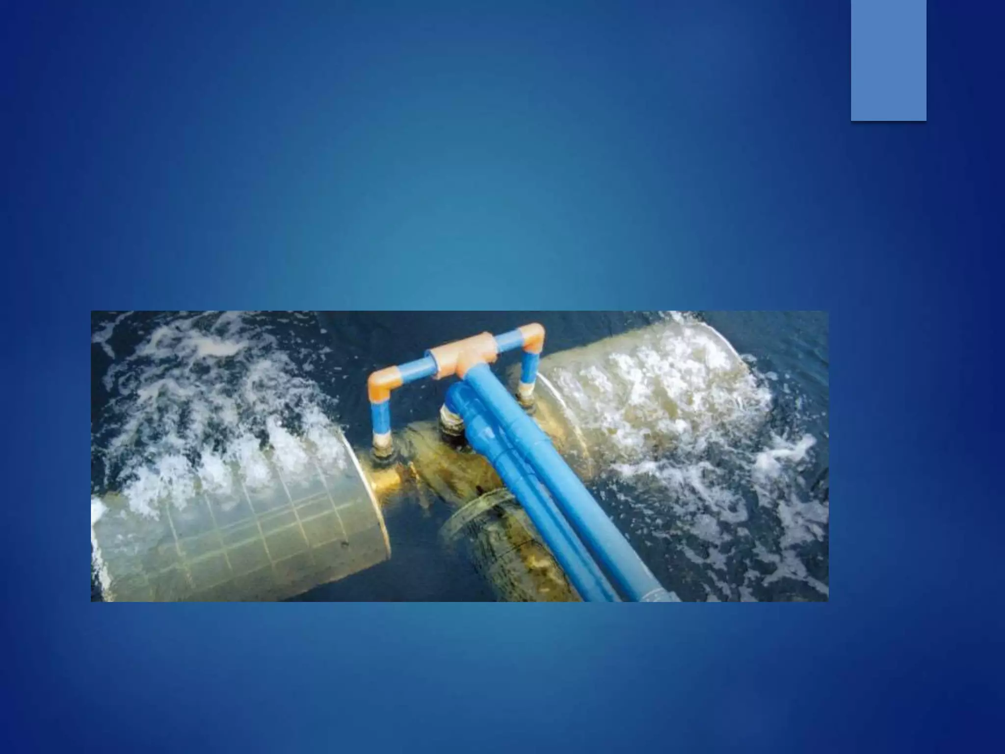 Steps in Pond Preparation (traditional) | PPTX