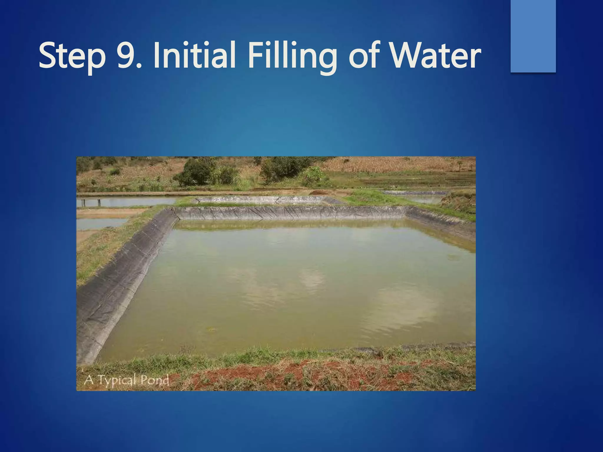 Steps in Pond Preparation (traditional) | PPTX