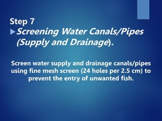 Steps in Pond Preparation (traditional) | PPTX