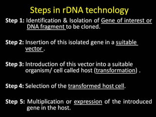 Steps in Recombinant DNA Technology or rDNA technology | PPTX | Video ...