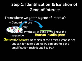 Steps in Recombinant DNA Technology or rDNA technology | PPTX | Video ...