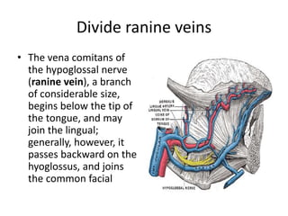 Steps in selective neck dissection | PPT