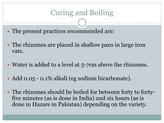 Steps in turmeric processing By Mr Allah Dad Khan | PPTX