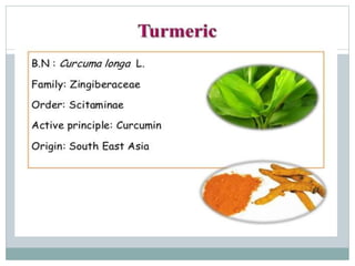 Steps in turmeric processing By Mr Allah Dad Khan | PPTX