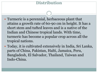 Steps in turmeric processing By Mr Allah Dad Khan | PPTX