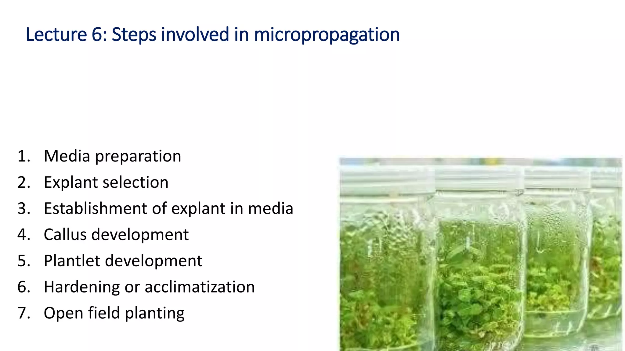 Steps involved in micropropagation | PPTX