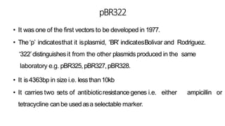 Steps of r-dna technology | PPTX