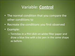 Steps of the scientific method | PPT