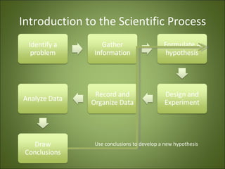 Steps of the scientific method | PPT
