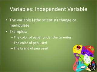 Steps of the scientific method | PPT