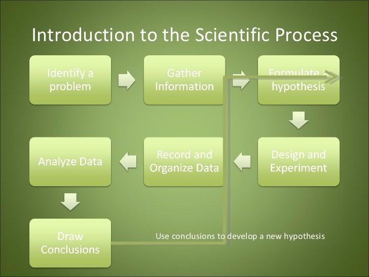 Steps of the scientific method