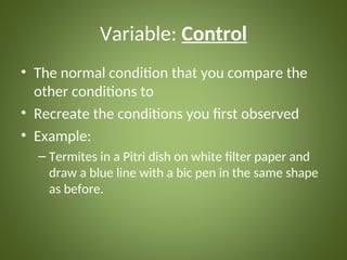 steps of scientific method in science 7 lessons | PPT