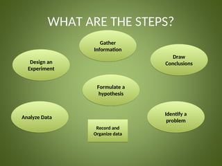 steps of scientific method in science 7 lessons | PPT