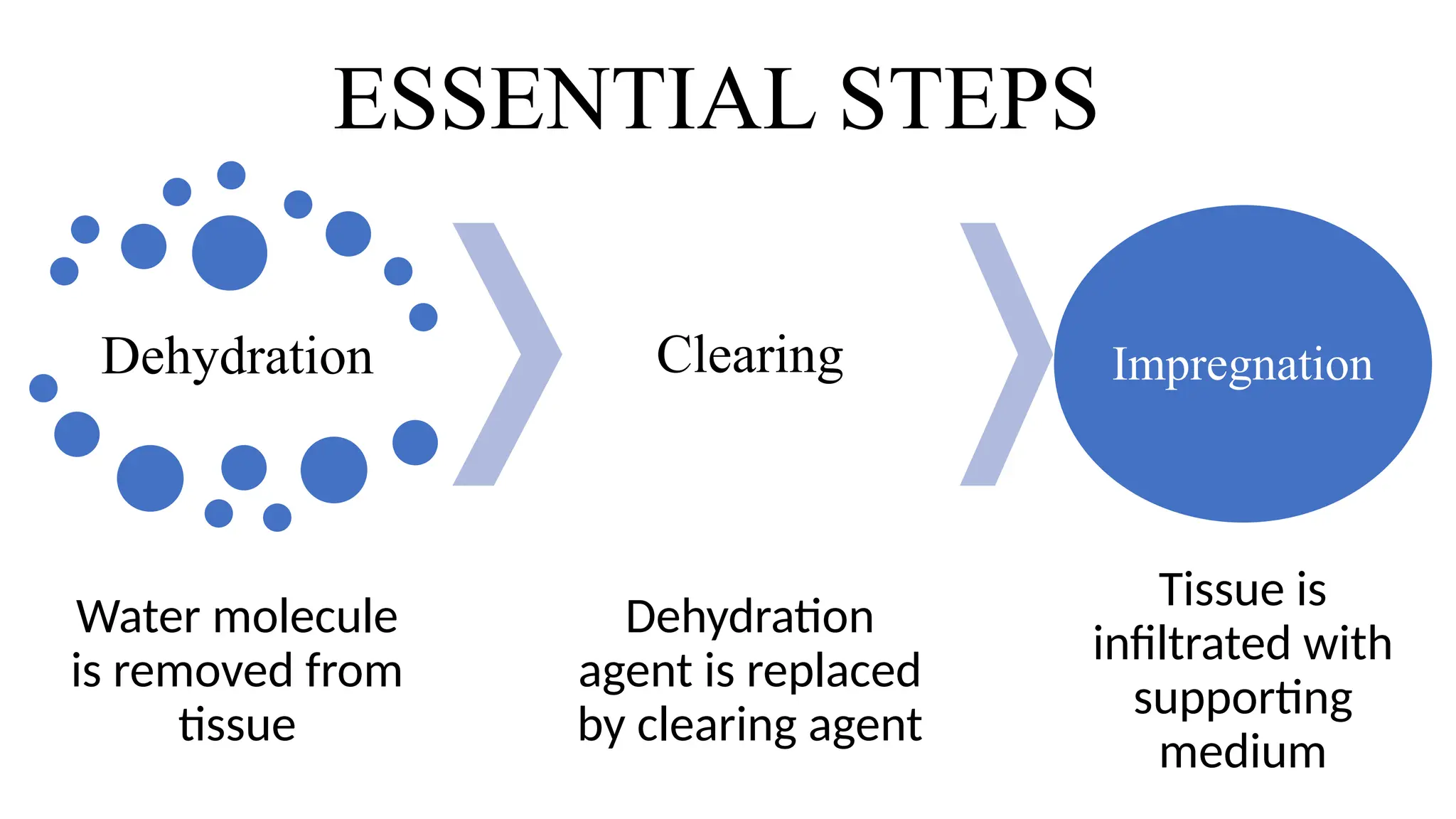 STEPS OF TISSUE PROCESSING in pathology for slide | PPTX